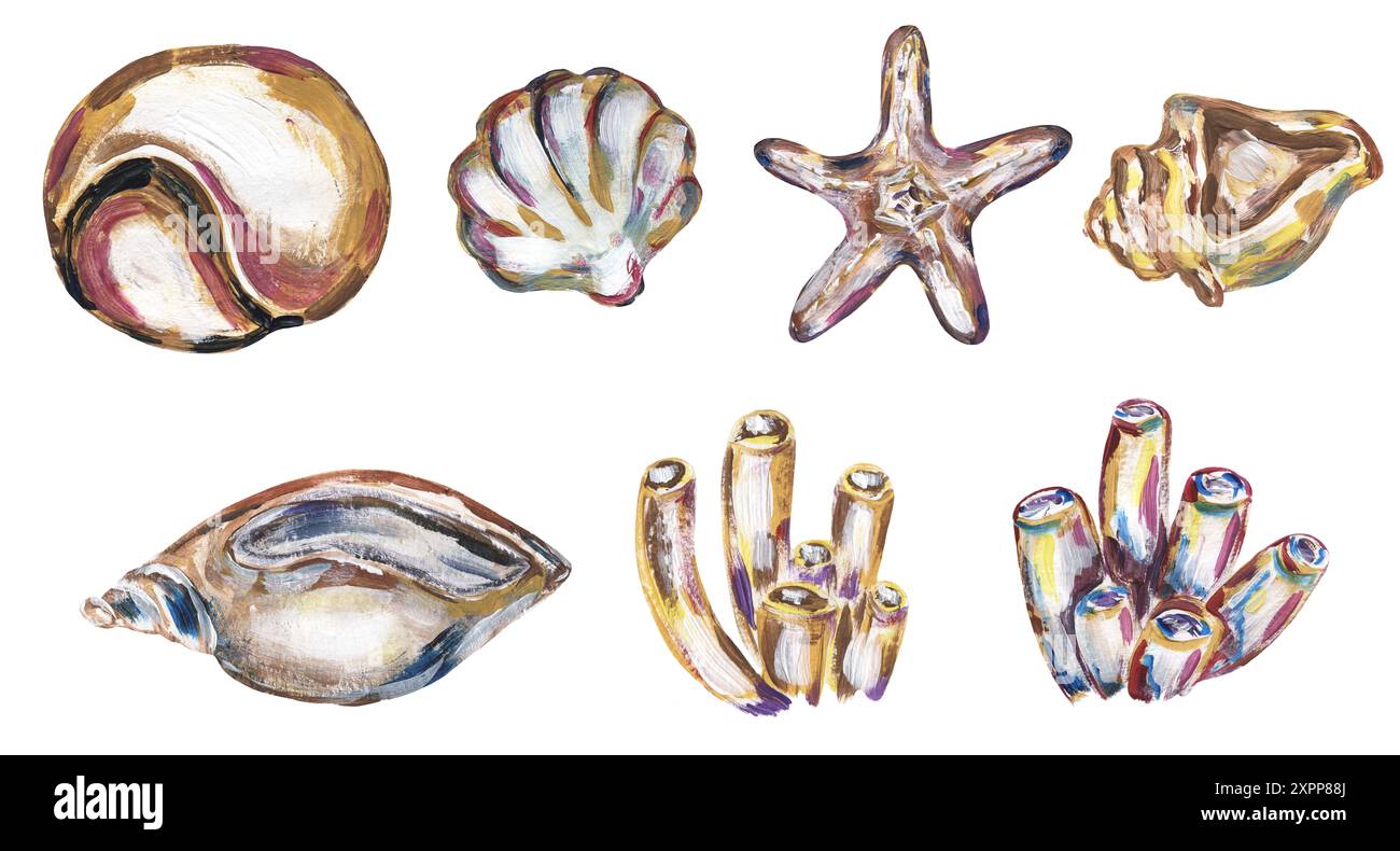 Graphic acrylic hand drawn sea shells, sea star and corals illustration ...