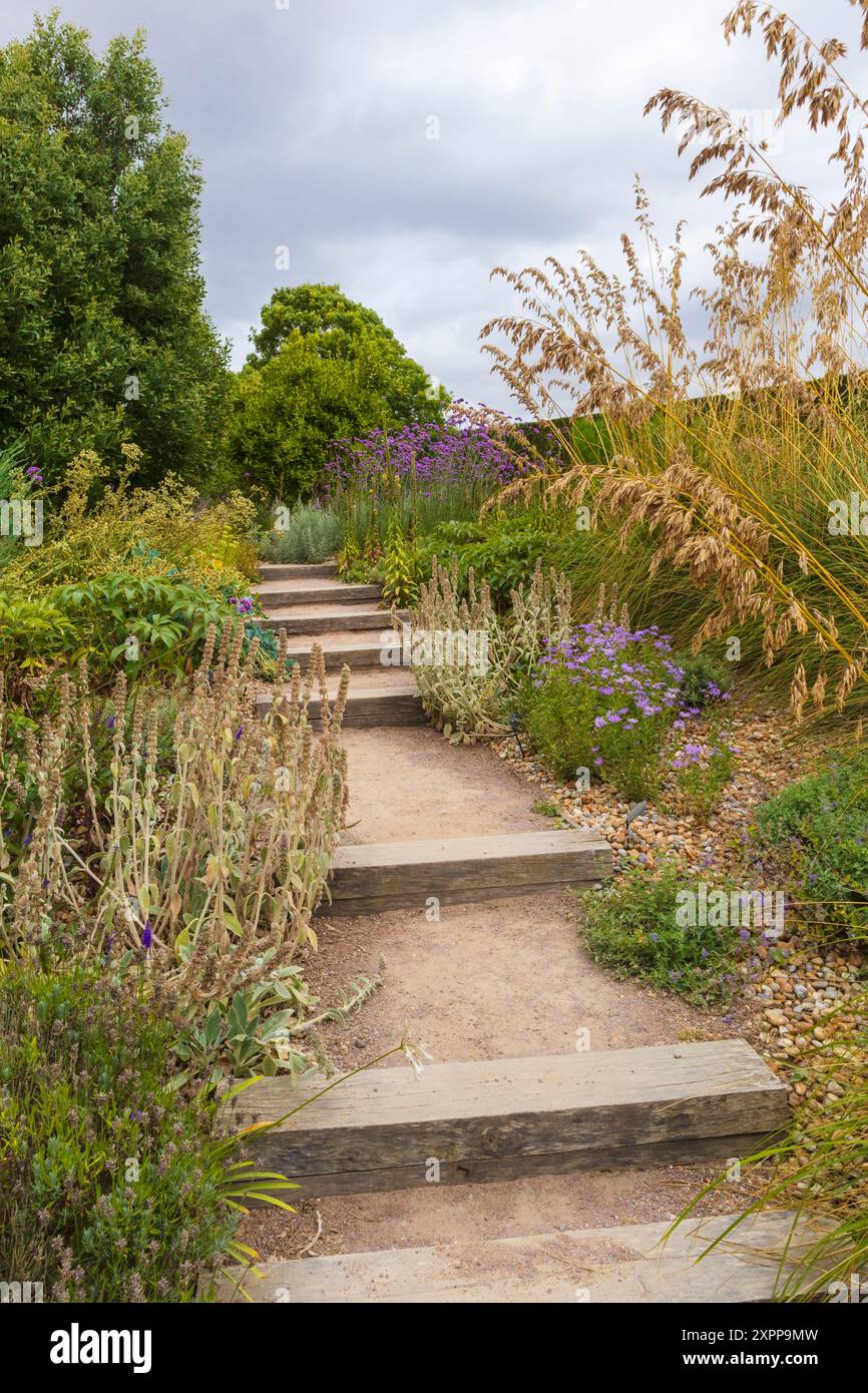 Stepped Footpath in the Dry Garden at RHS Hyde Hall Stock Photo - Alamy