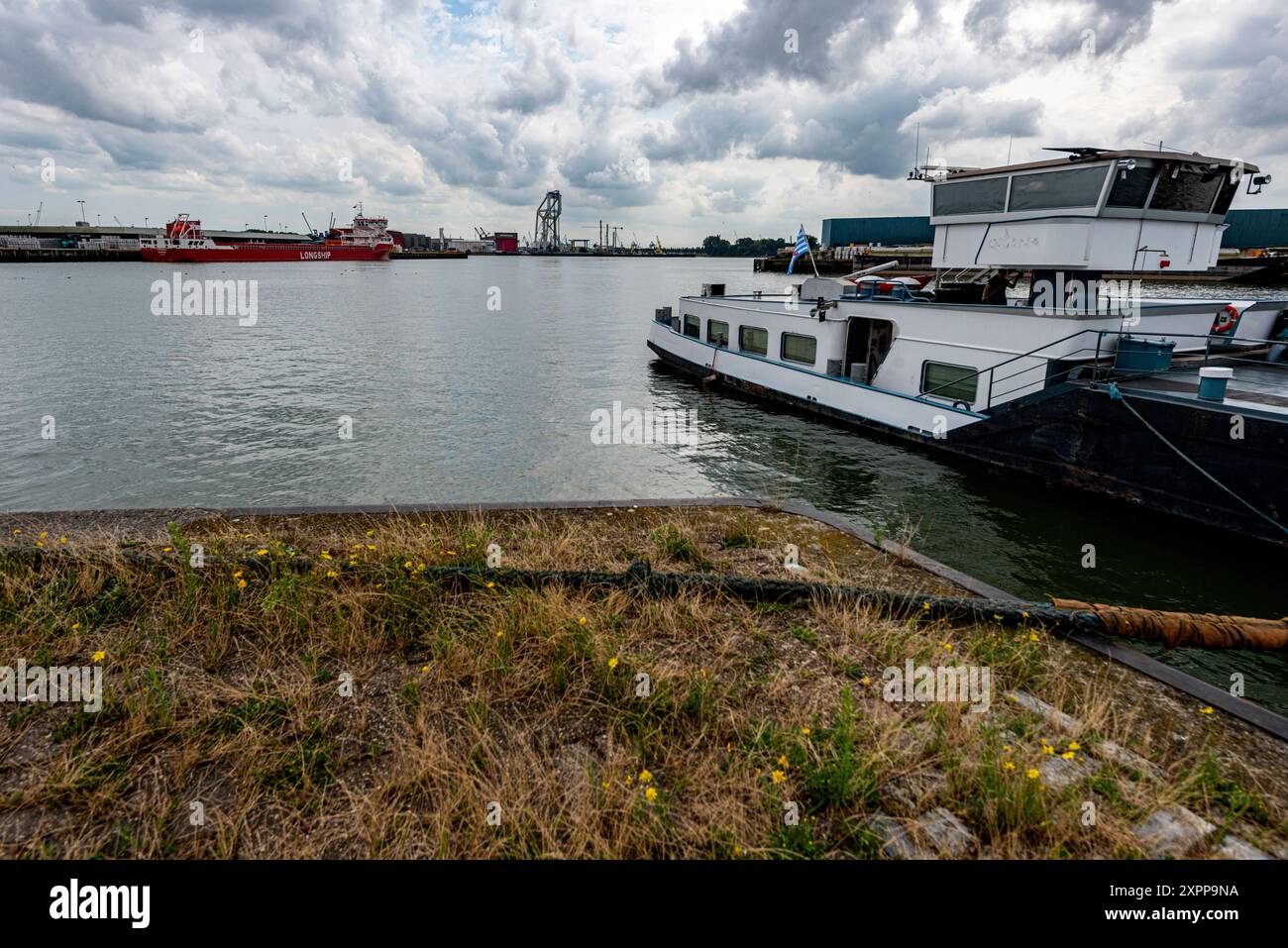Rotterdam fruit warf hi-res stock photography and images - Alamy