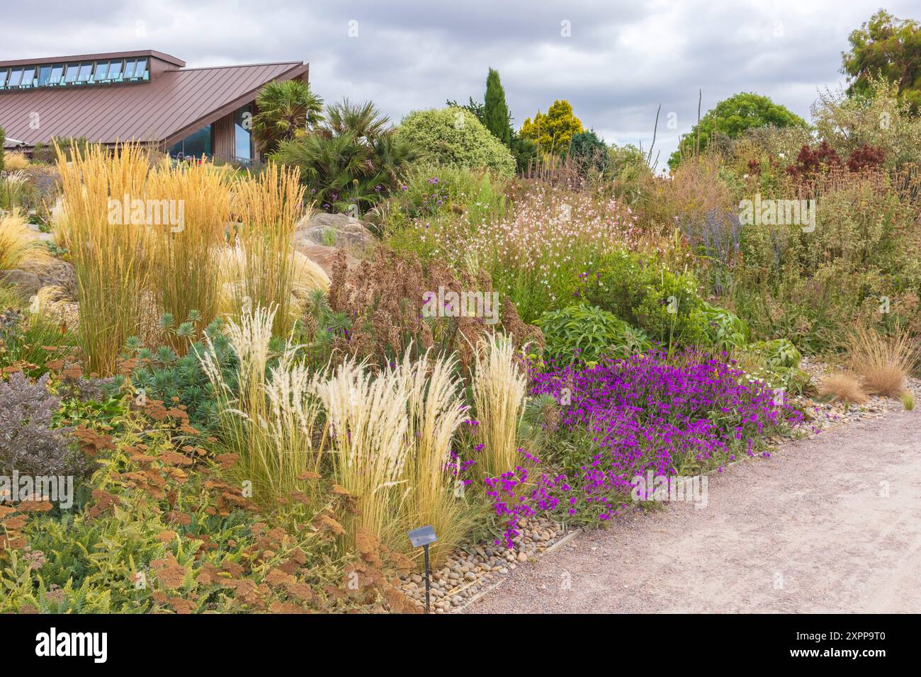 The dry garden hyde hall hi-res stock photography and images - Alamy