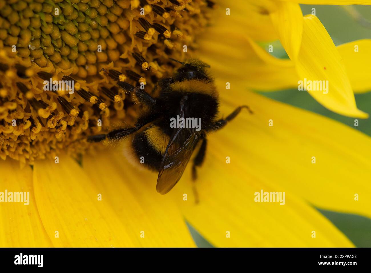 Changes in english farming hi-res stock photography and images - Alamy