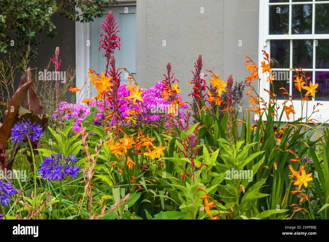 A Variety of Summer Garden Perennials at RHS Hyde Hall Stock Photo - Alamy