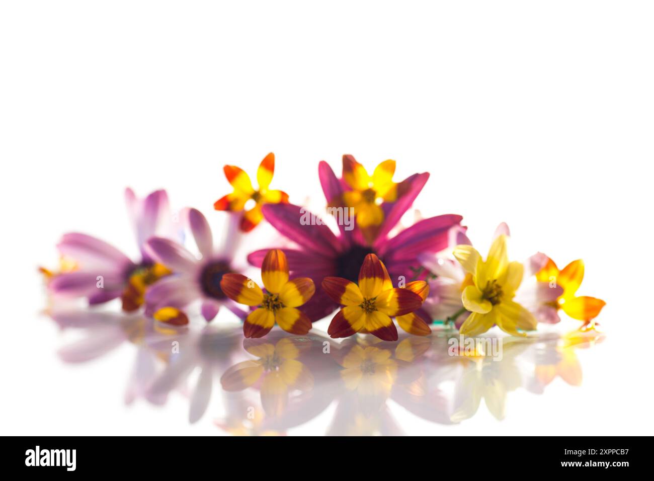 small bouquet of small multi-colored summer flowers Stock Photo - Alamy