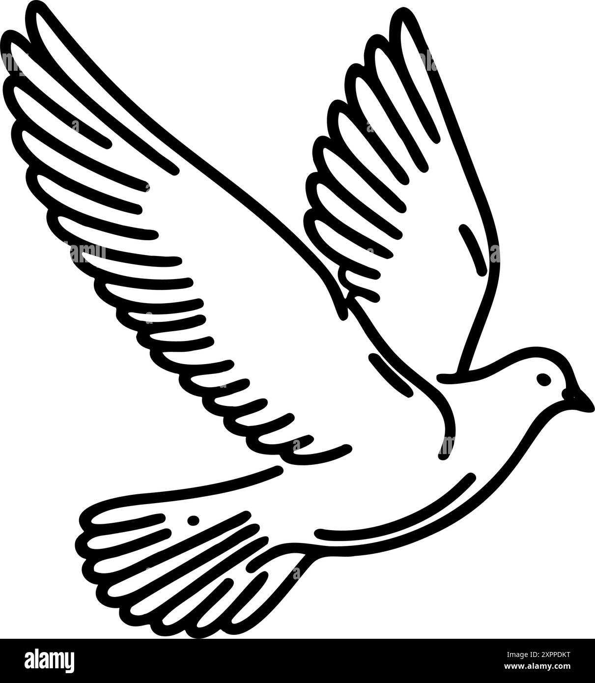 A white bird with black wings flying in the air. The image is a simple ...