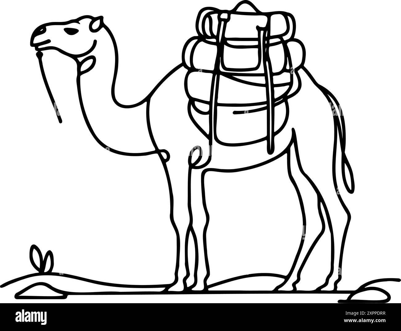 camel is carrying backpack on its back. camel is standing on rocky ...