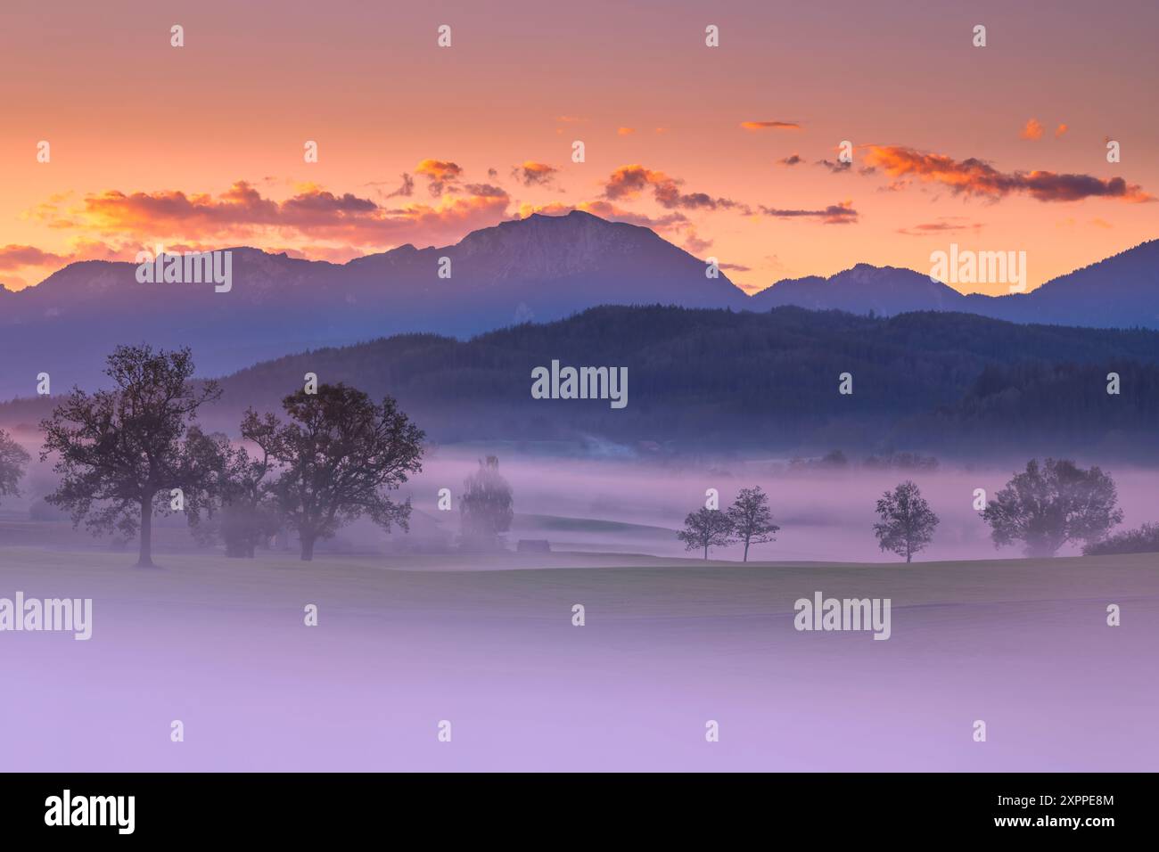 Mountain view, Alpine panorama with fog at dawn in the foothills of the ...