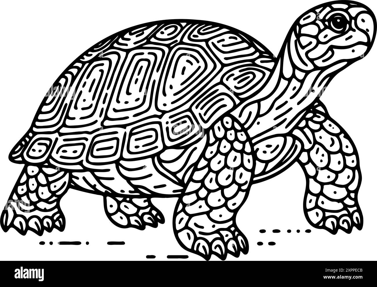 A turtle is walking on the ground. The turtle is black and white Stock ...