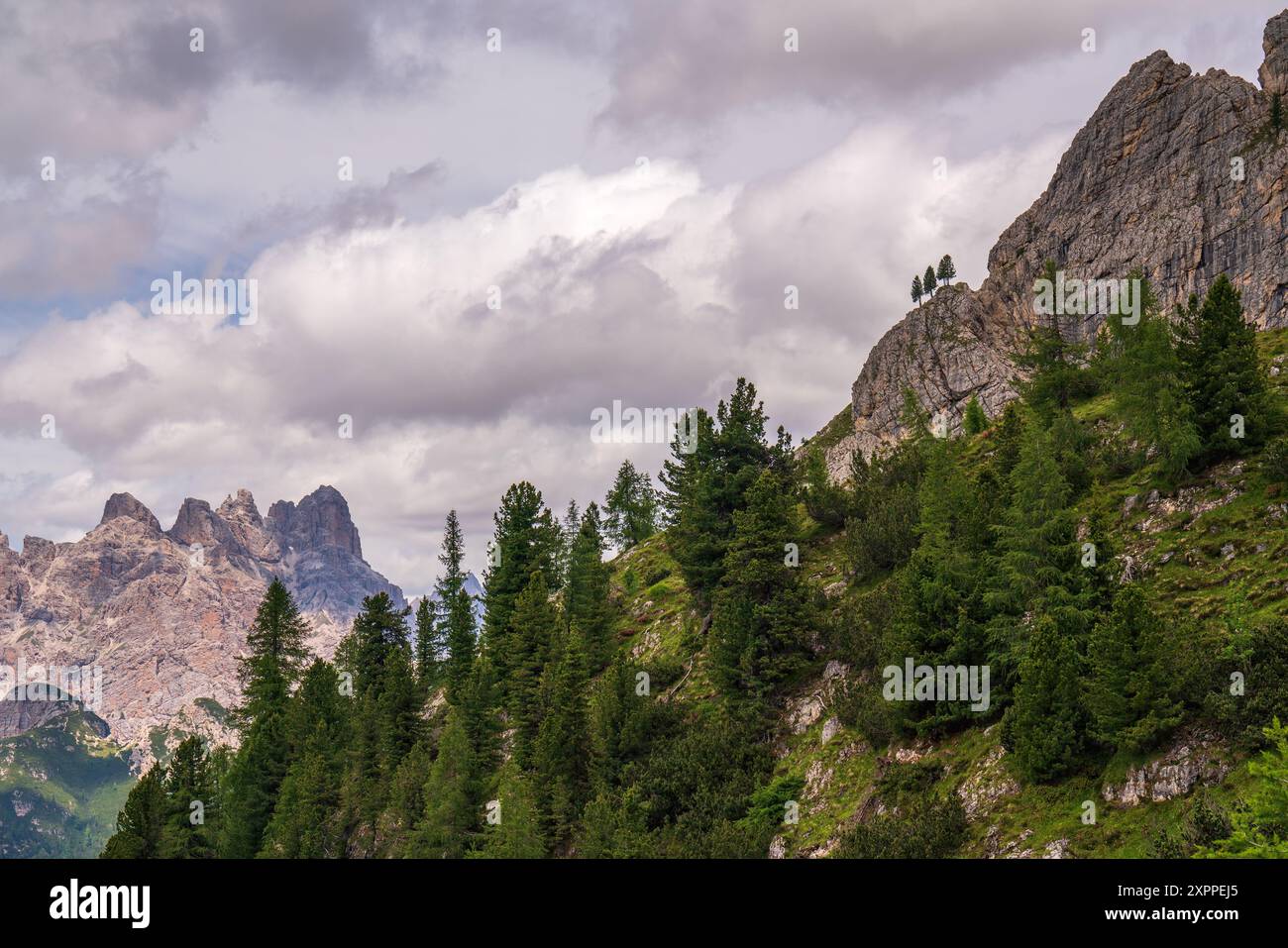 Beautiful mountain landscape. Huge rock peaks, green forest covers ...