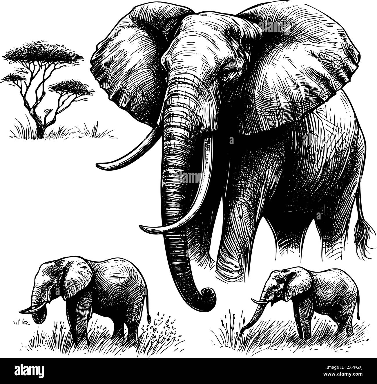 A black and white drawing of an elephant and two baby elephants. The ...