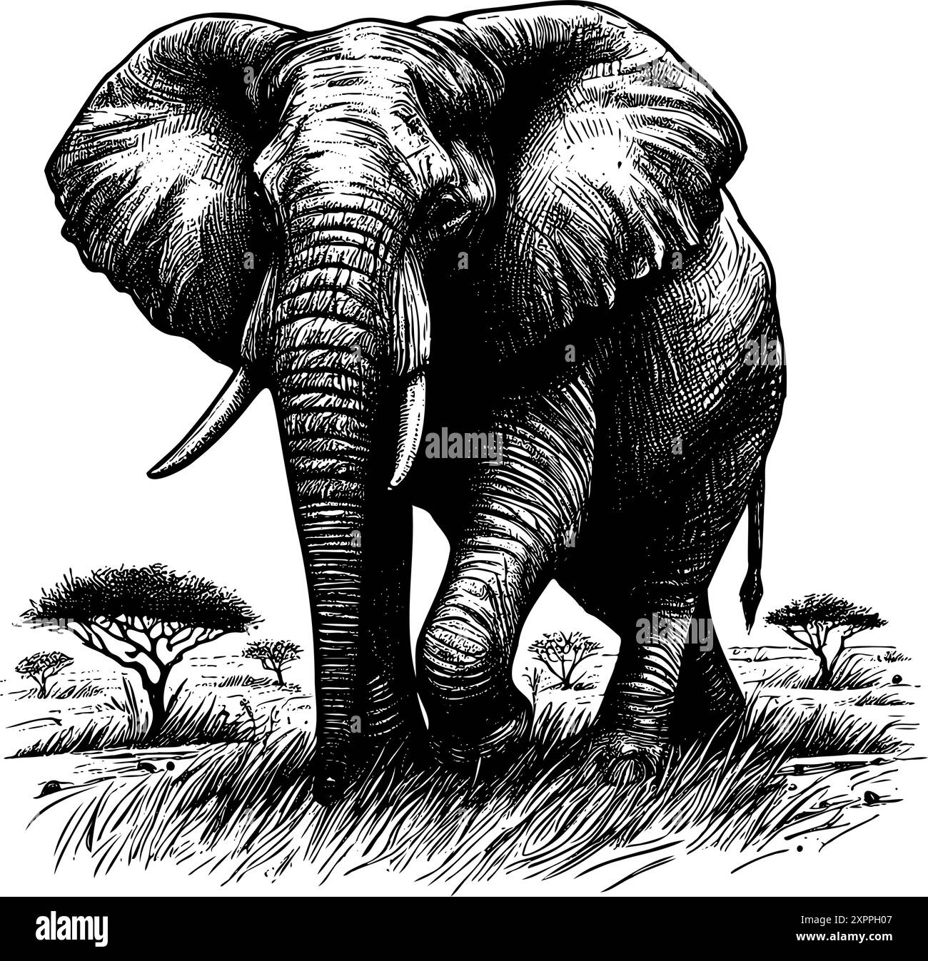 black and white drawing an elephant in wild. elephant is walking ...