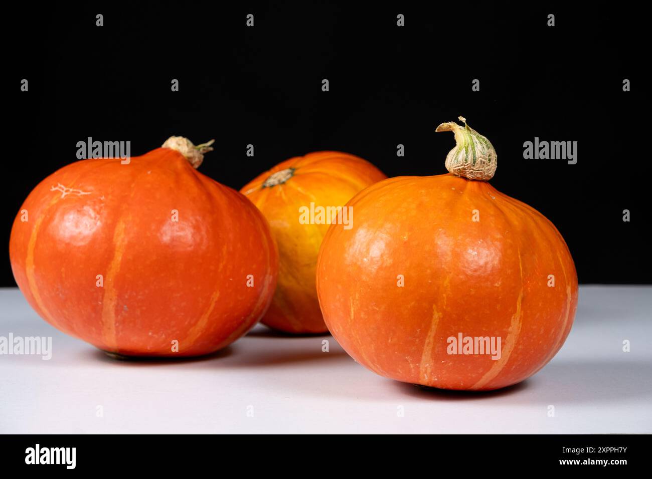 Black background pumpkins hi-res stock photography and images - Alamy