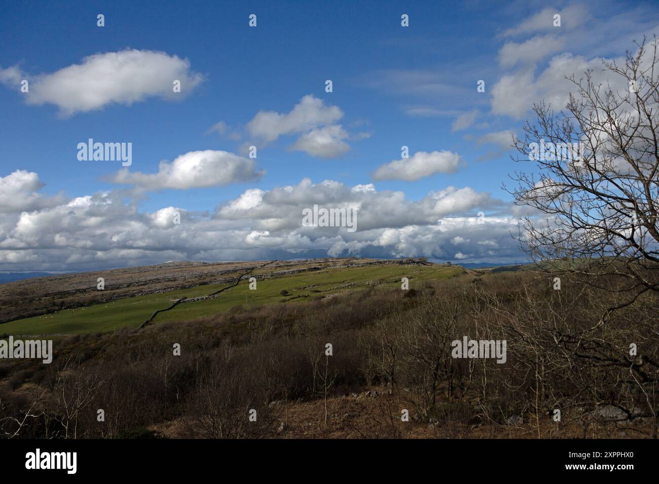 The summit plateau Hutton Roof Crags near Burton in Kendal Westmorland ...