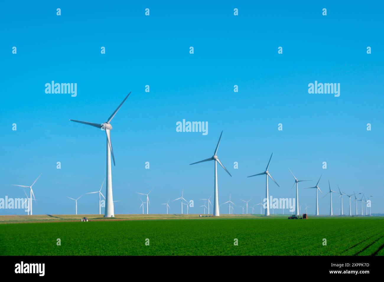 A vast landscape of wind turbines stands tall against a vibrant blue ...