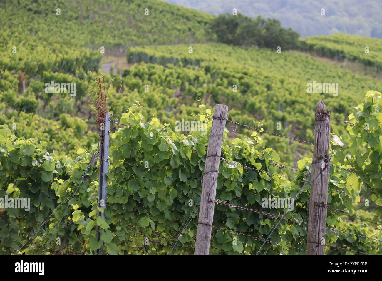 modern Wiring construction replaces Classic method Stock Photo - Alamy