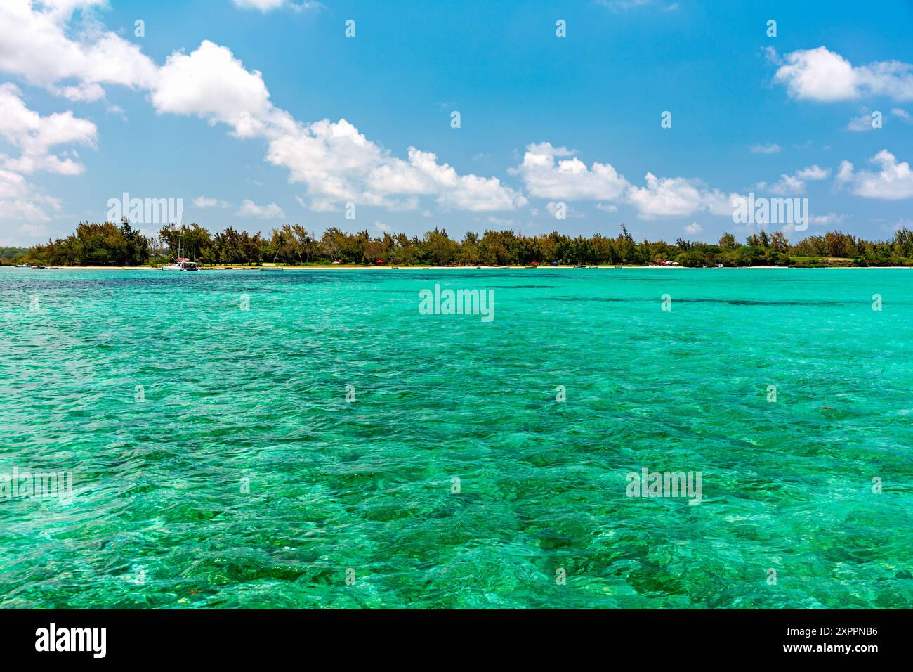 Water surface in vibrant green. View of a crystal clear sea water ...