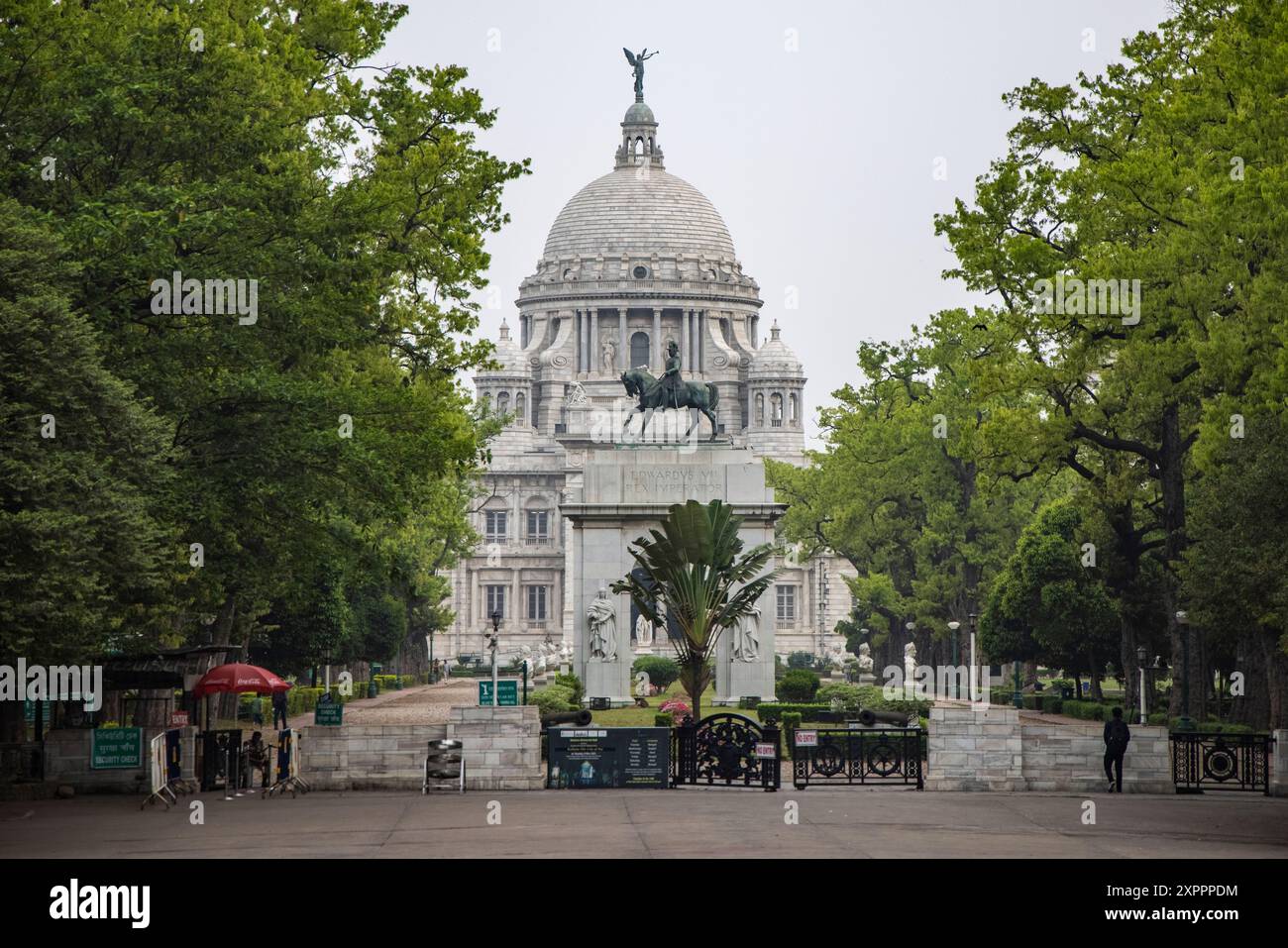 Victoria fan palm hi-res stock photography and images - Alamy