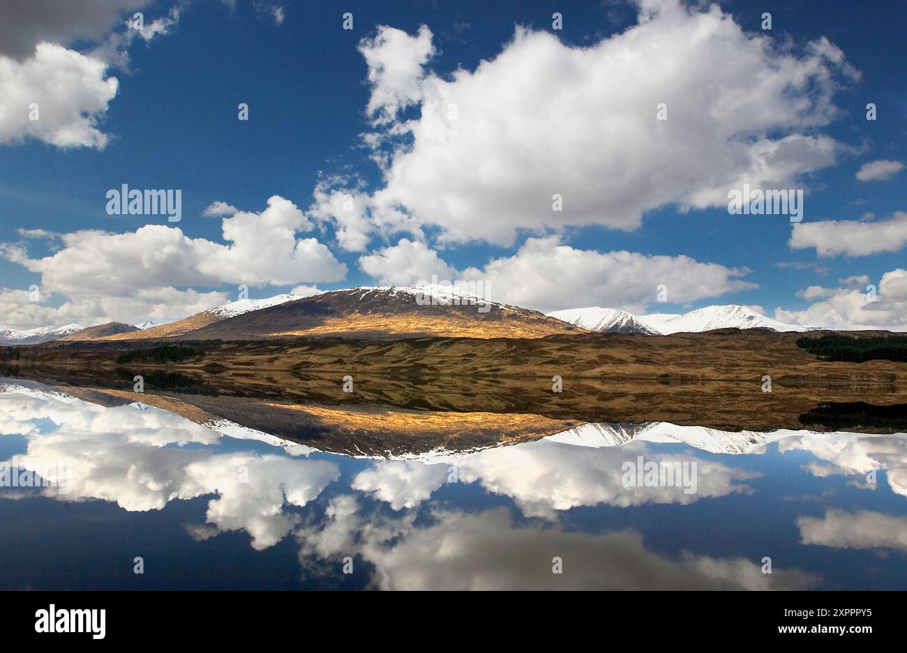 Loch Tulla in Argyll looking across at Black Mount Stock Photo - Alamy