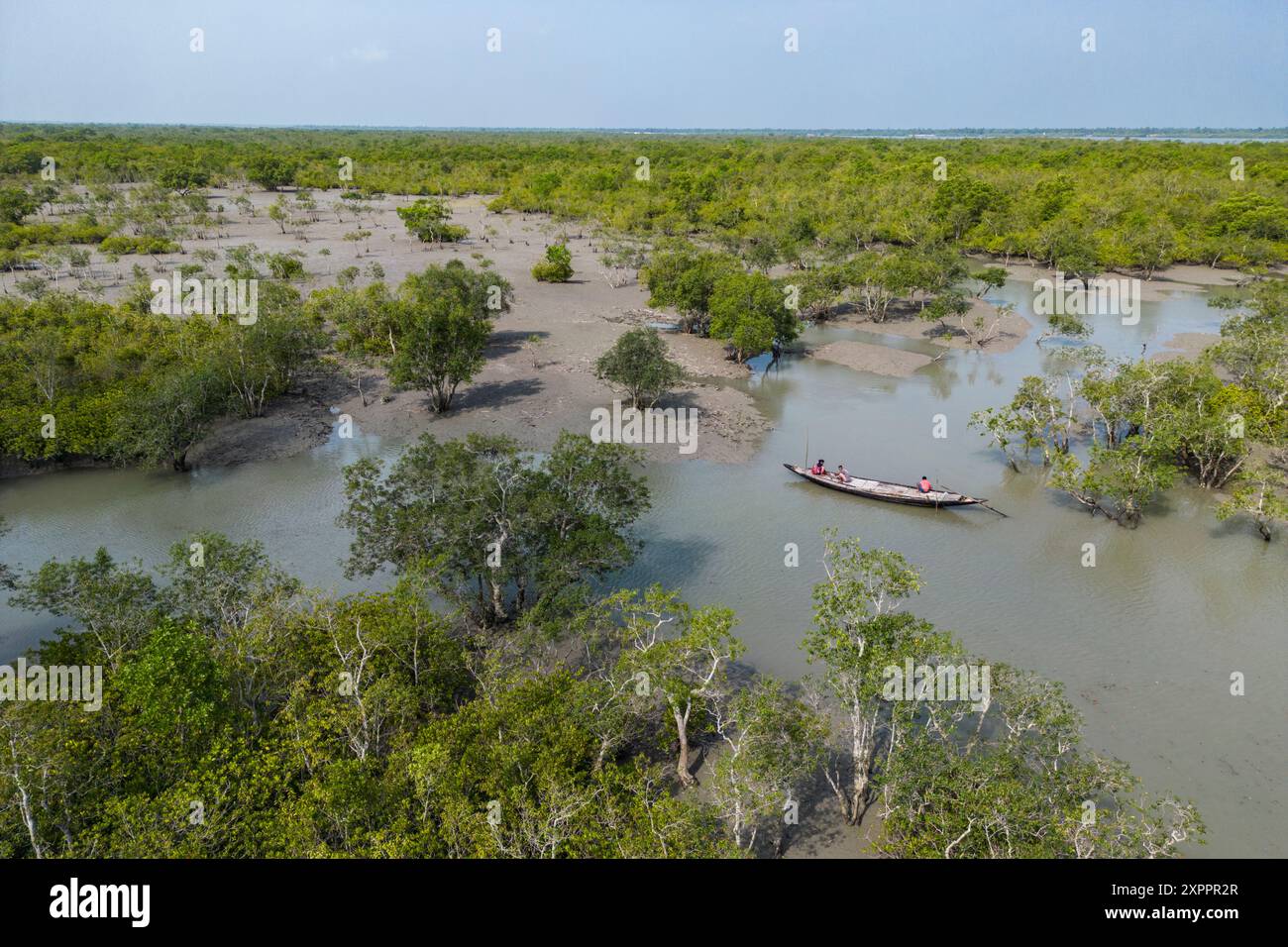 Aerial view of a canoe in the Sundarbans mangrove area, Pakhiralay ...