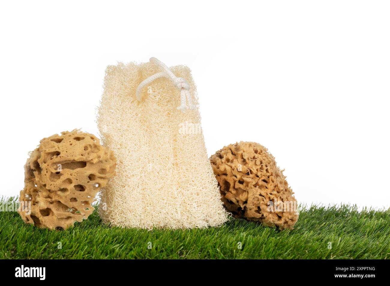 Single Exfoliating Sponge on Grass Stock Photo - Alamy