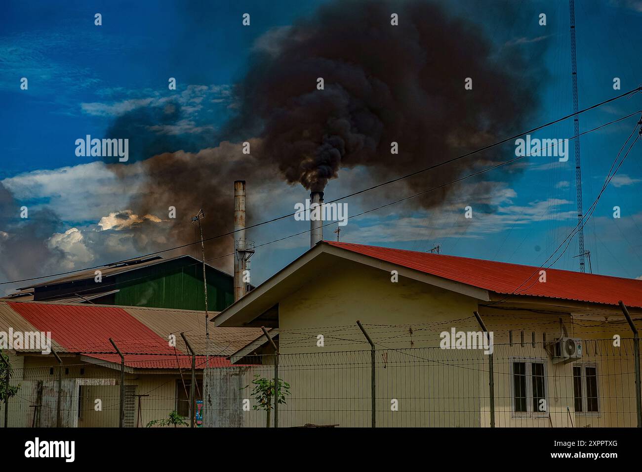 Palm oil plantation factory activities in Sei Lepan, Langkat, North ...