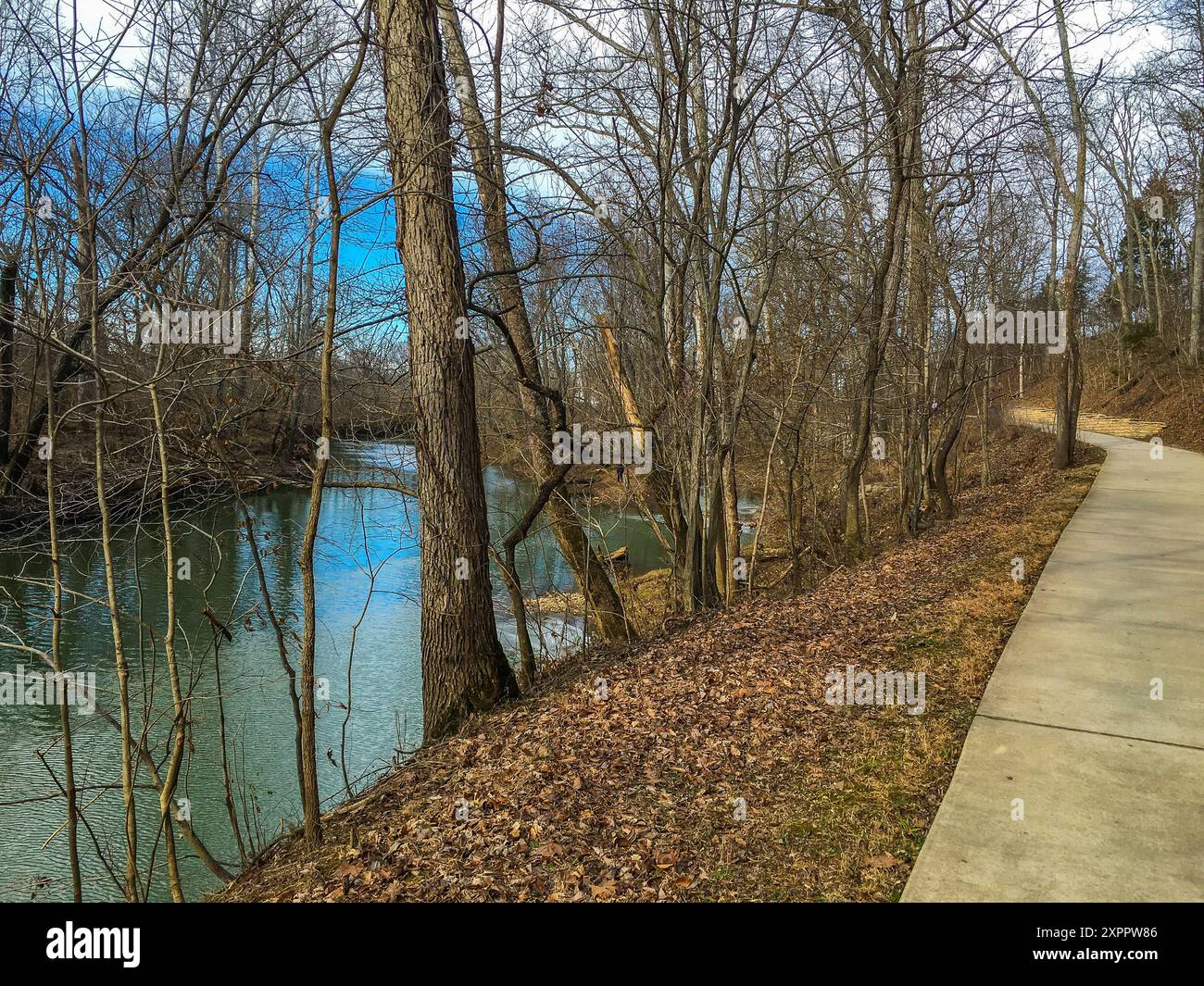 Pedestrian / bicycle path along a tranquil creek in a wooded area Stock ...