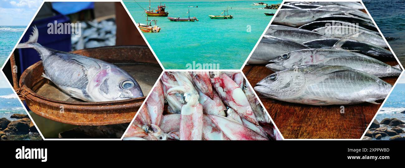Fisheries on the coast of Sri Lanka. Photo collage. Wide photo Stock ...