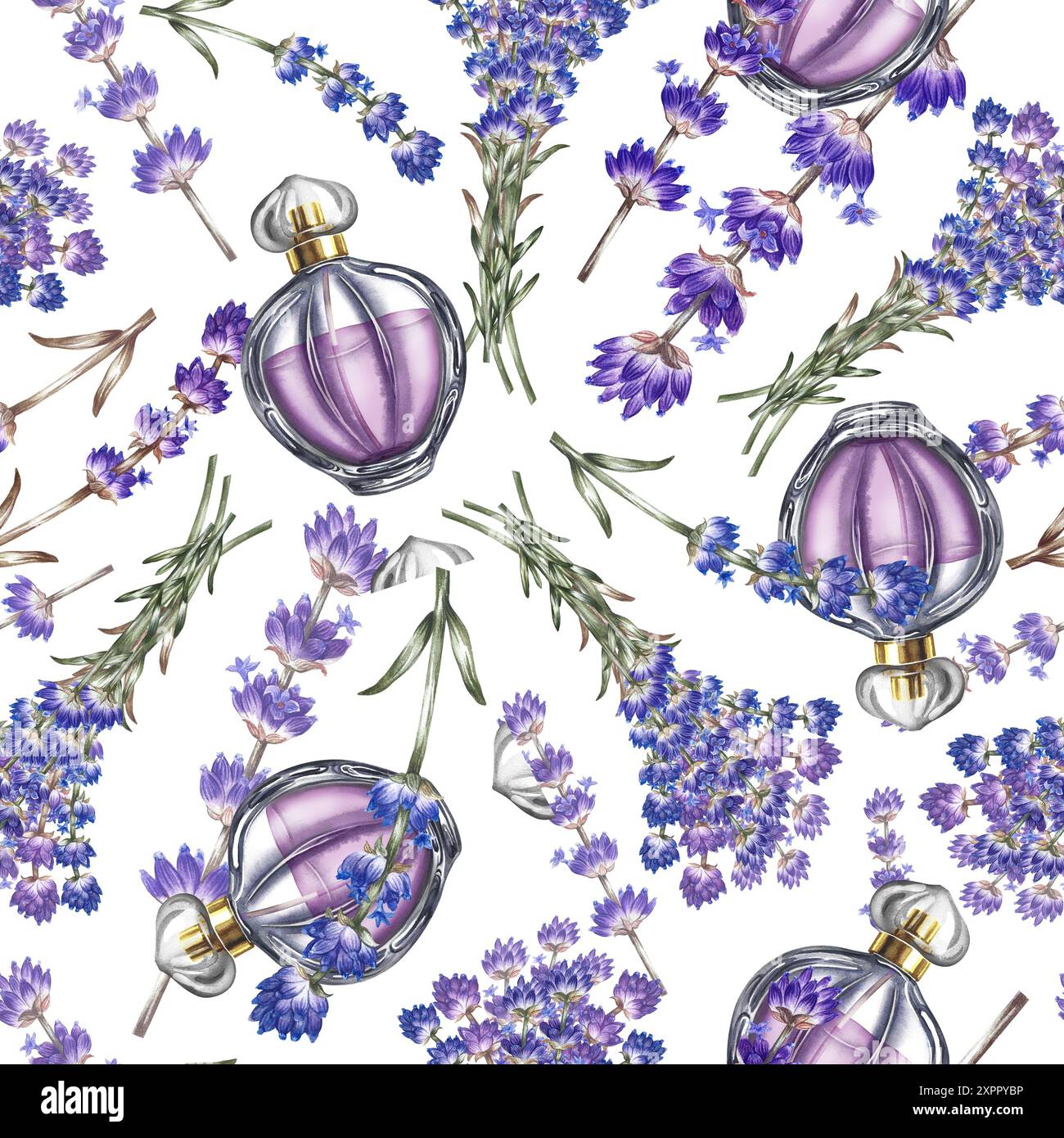 Lavender. Seamless pattern of lavender flowers and vials. A hand-drawn ...