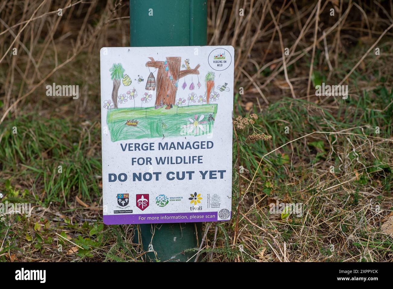 Managed verge for wildlife hi-res stock photography and images - Alamy
