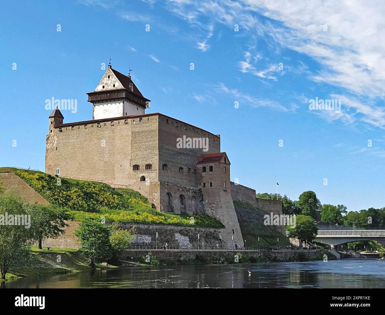 Medieval Narva castle stands tall by river, surrounded by greenery ...