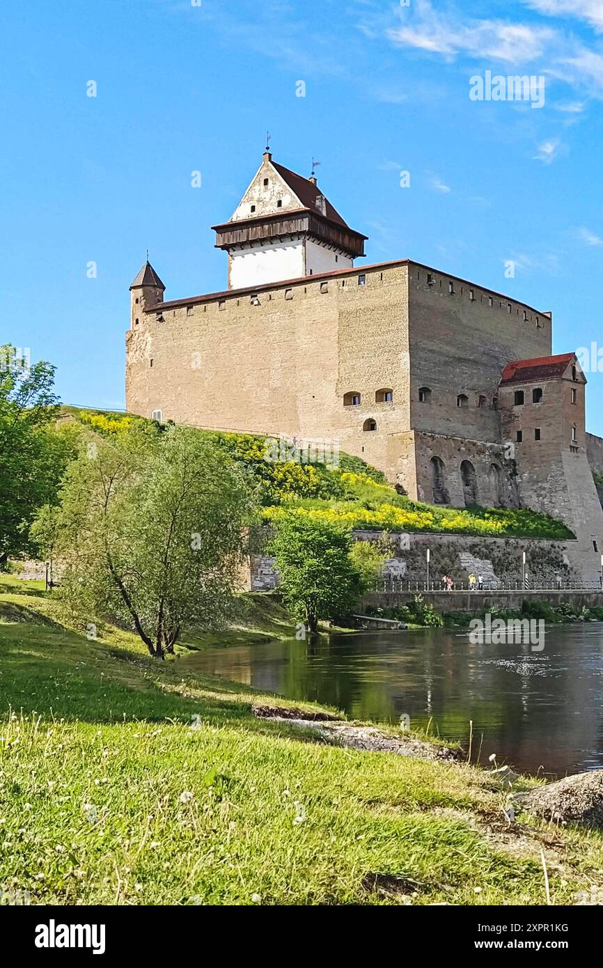 Medieval Narva castle stands tall by river, surrounded by greenery ...