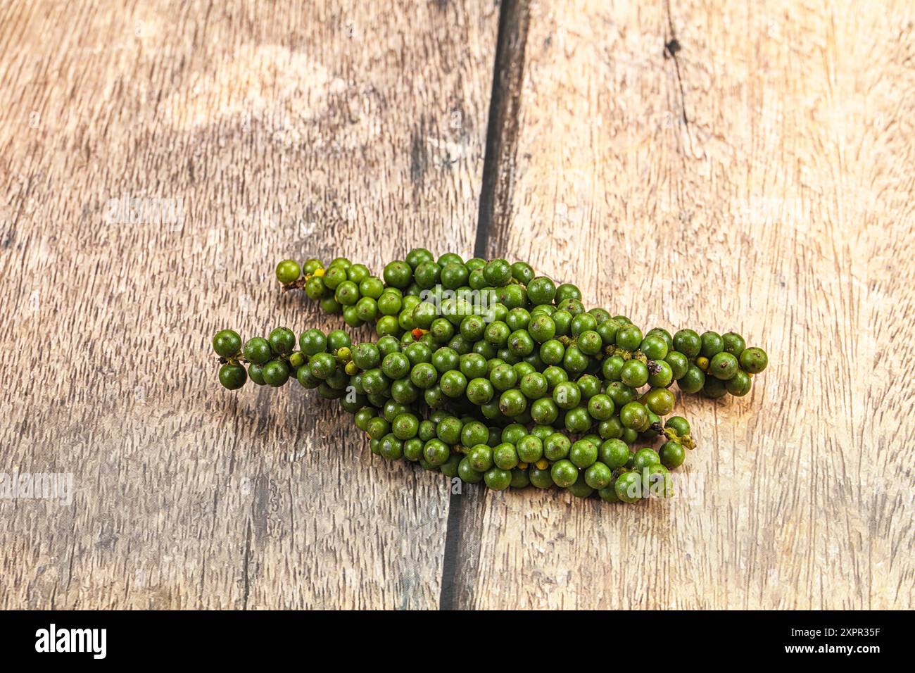 Green pepper corn on the branch heap Stock Photo - Alamy