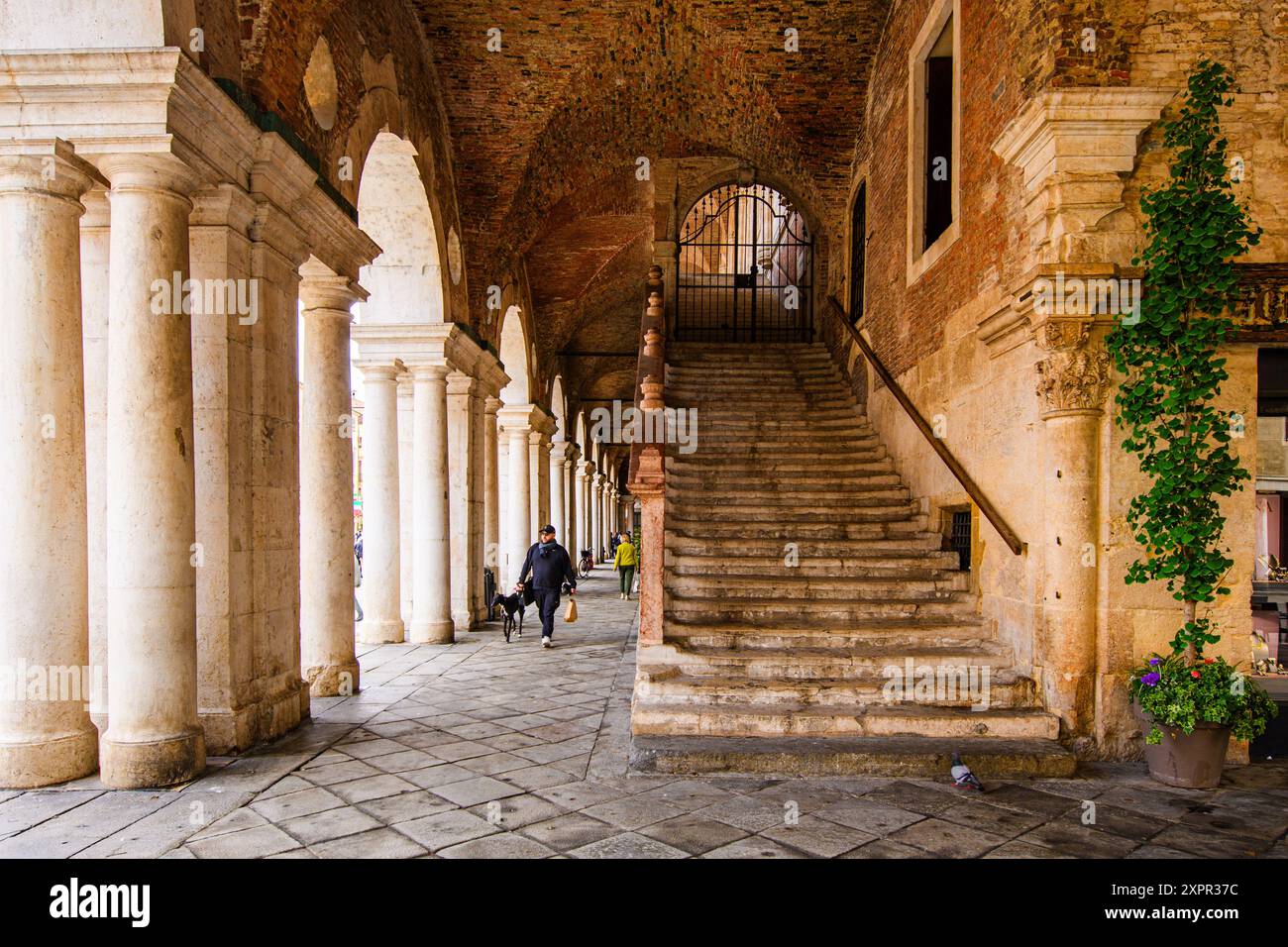 Basilica Palladiana in Vicenza, Veneto, Italy – A masterpiece of ...