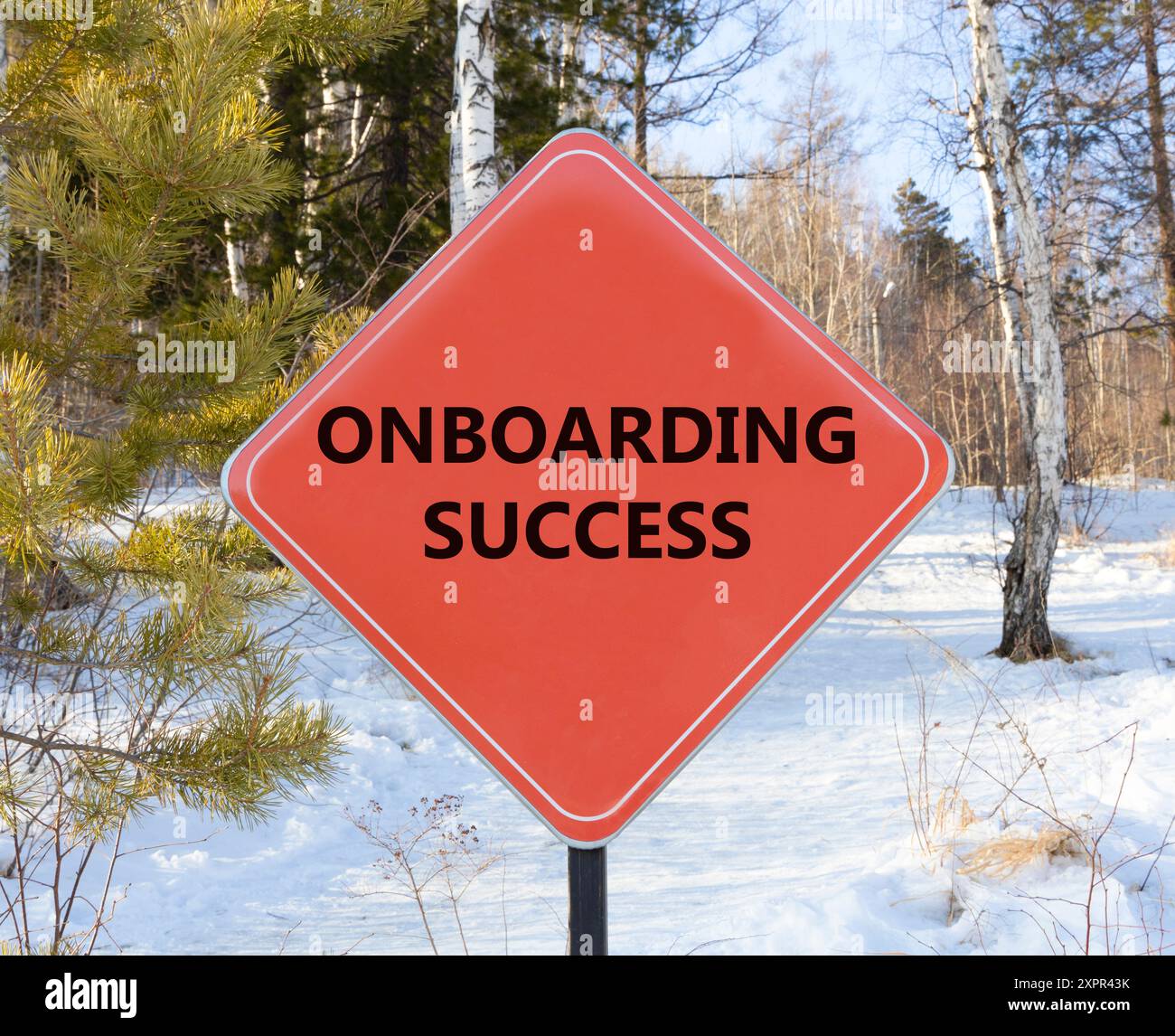 Onboarding success symbol. Concept words Onboarding success on ...
