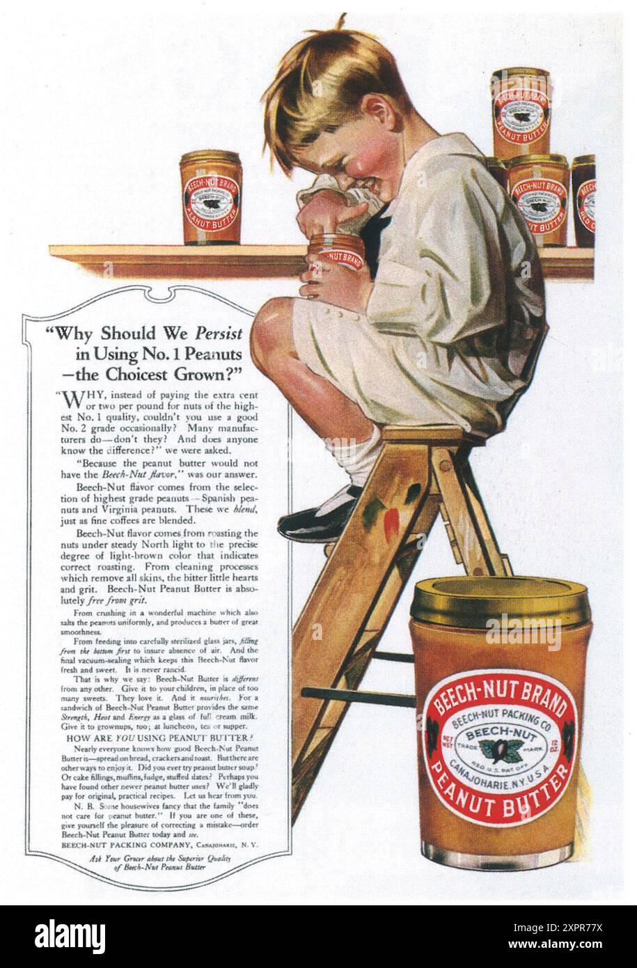 American beech nut hi-res stock photography and images - Alamy