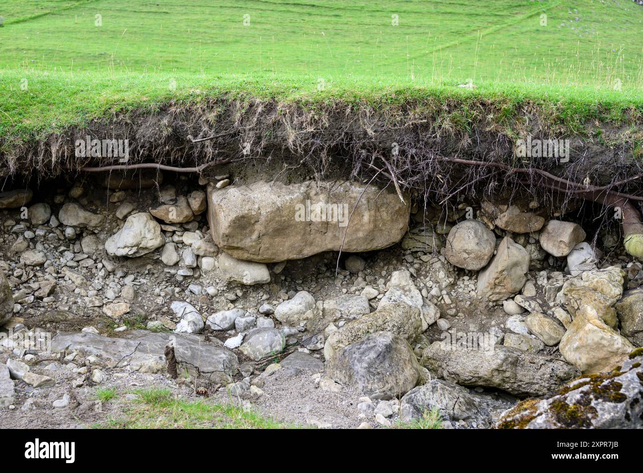 Exposed soil and rock layers in an eroded section of a grassy hillside ...