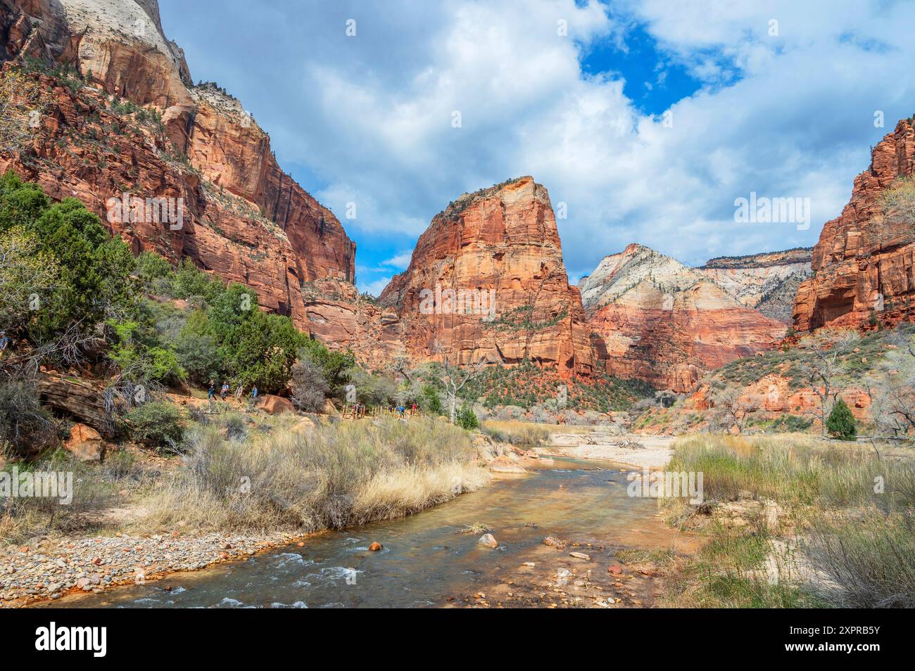 Angels landing, Zion National Park, Utah, USA, United States Stock ...