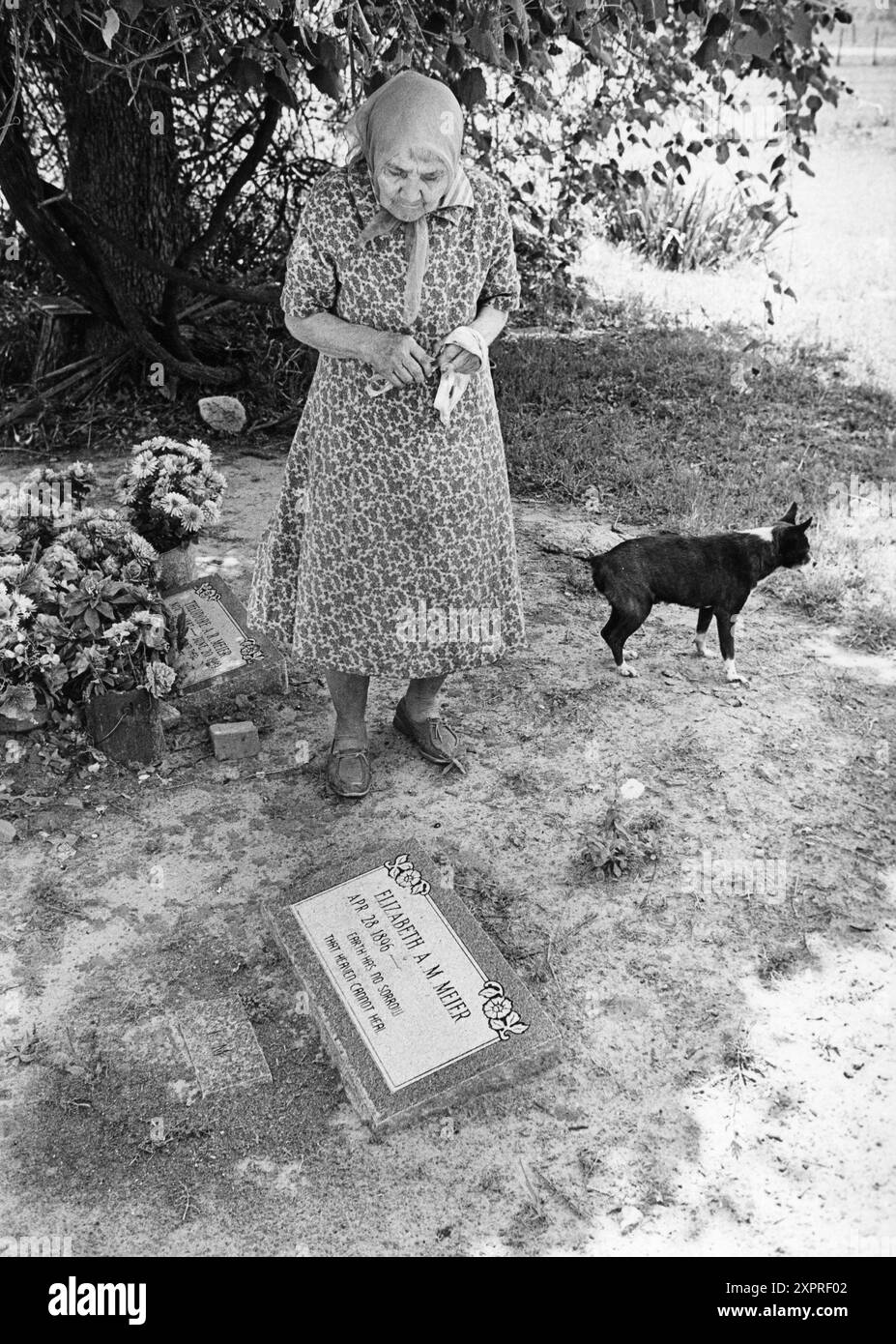 Elderly woman visiting her gravestone, with no death date yet, next to ...