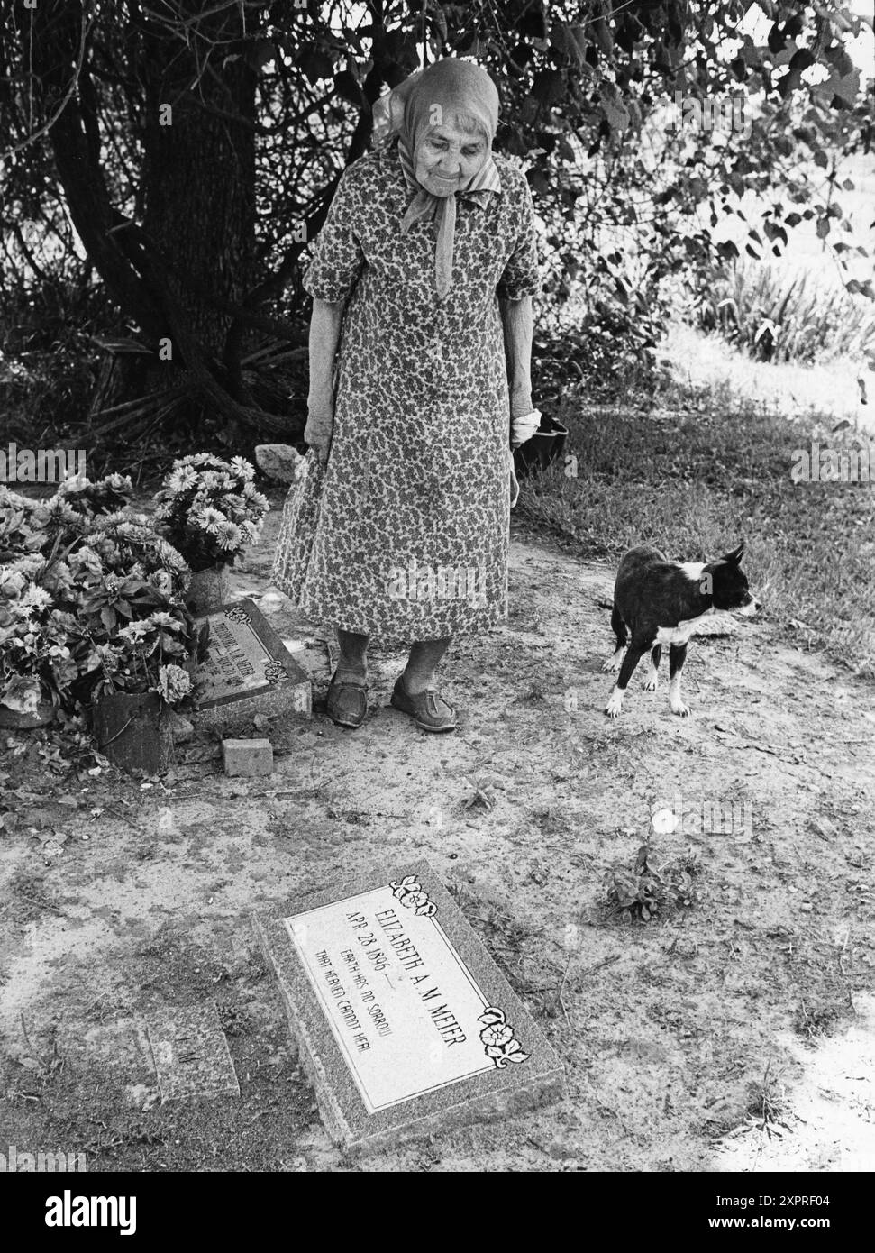 Elderly woman visiting her gravestone, with no death date yet, next to ...