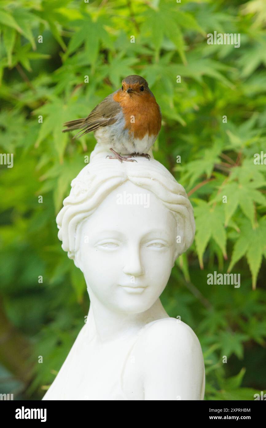 Beautiful female statue hi-res stock photography and images - Alamy