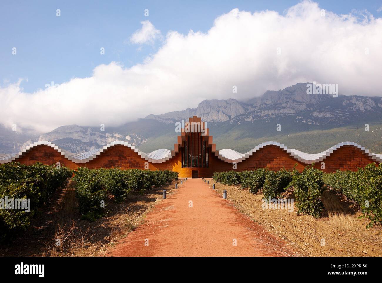 Vineyard and Ysios winery building designed by architect Santiago ...