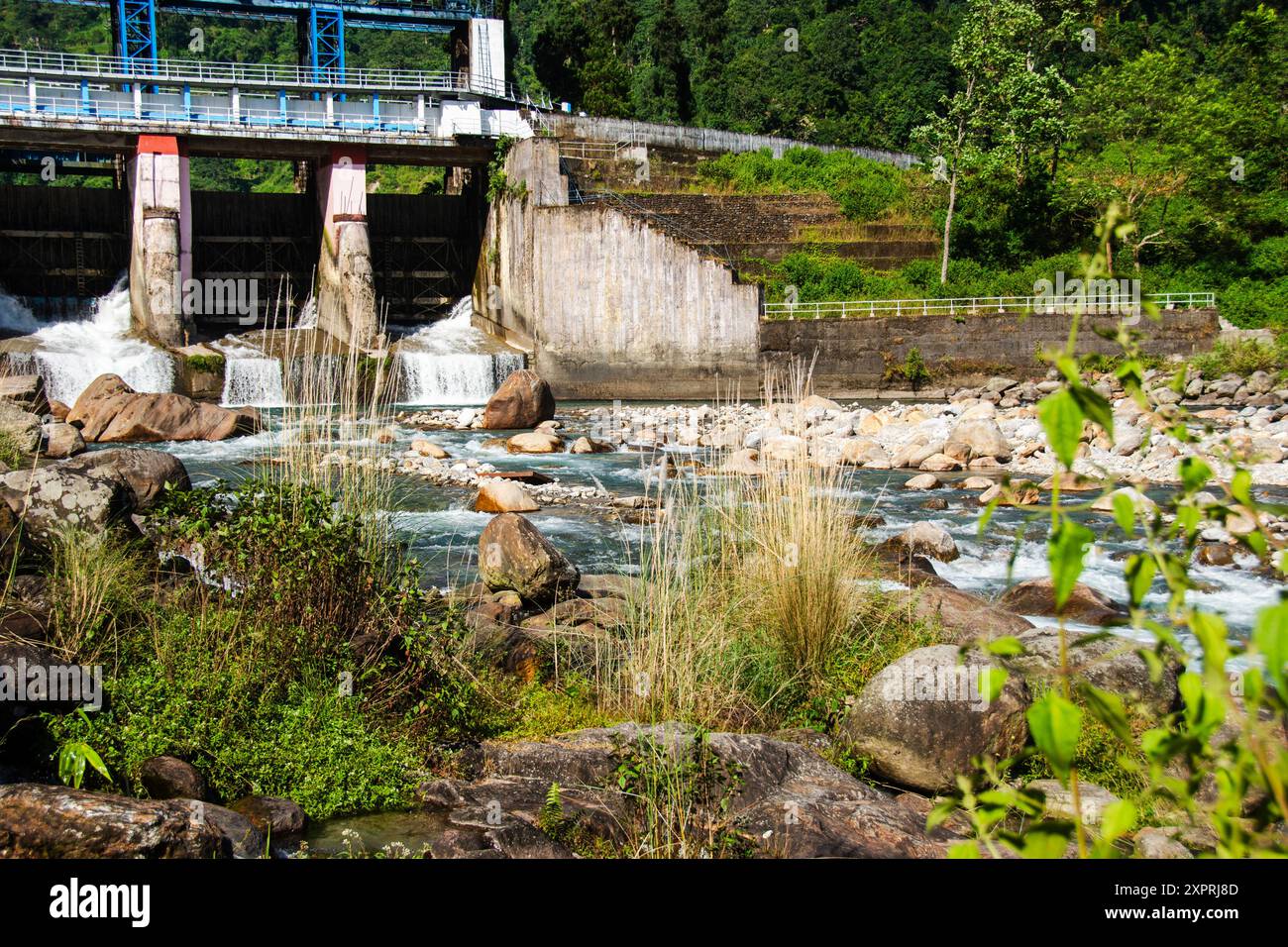 Bindu lies in the Indo-Bhutan border, India's second oldest dam is ...