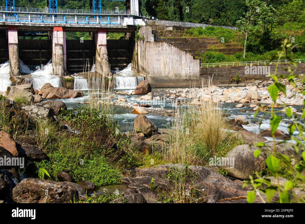 Bindu lies in the Indo-Bhutan border, India's second oldest dam is ...