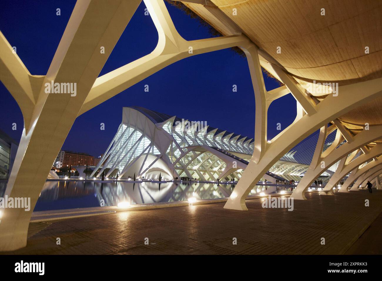 Prince Felipe Museum of Sciences, City of Arts and Sciences, Valencia ...