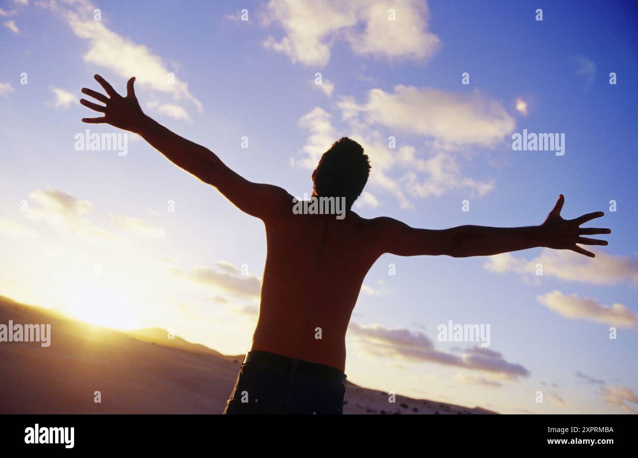 Adult, Adults, Alone, Back view, Back-light, Backlight, Body language ...