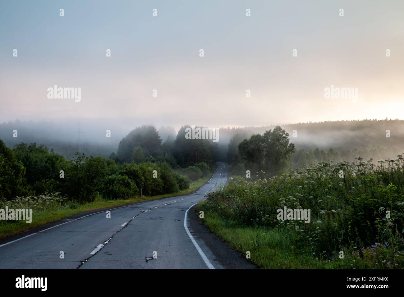 Road disappearing into fog hi-res stock photography and images - Alamy