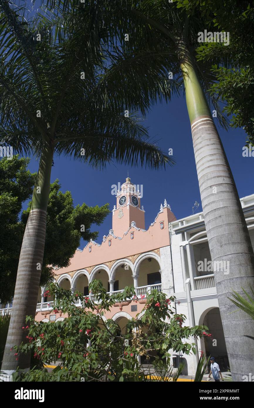 Town hall merida mexico hi-res stock photography and images - Alamy