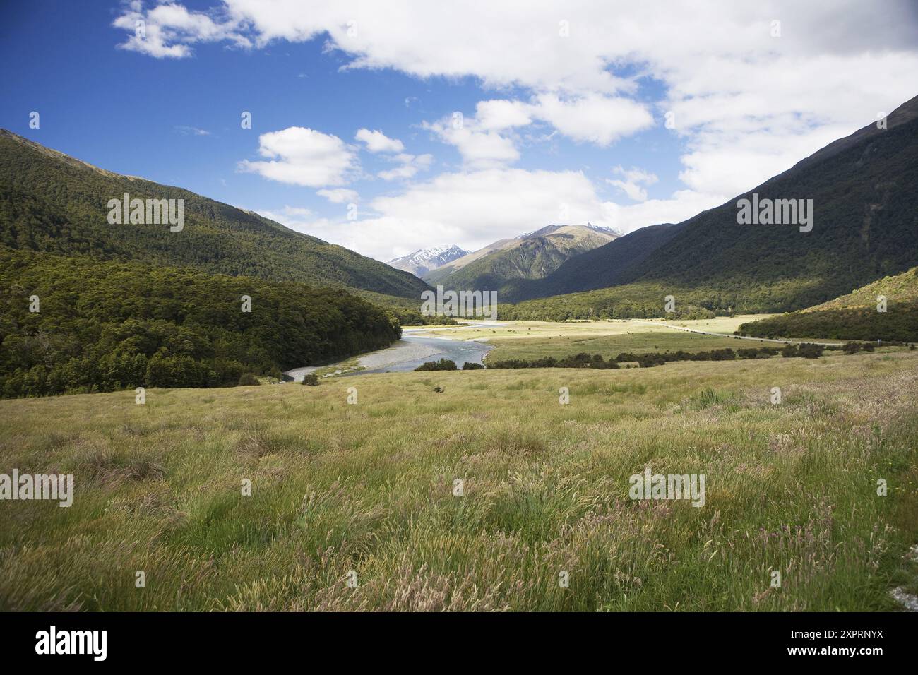 Makarora River, Aspiring National Park, South Island, New Zealand Stock ...