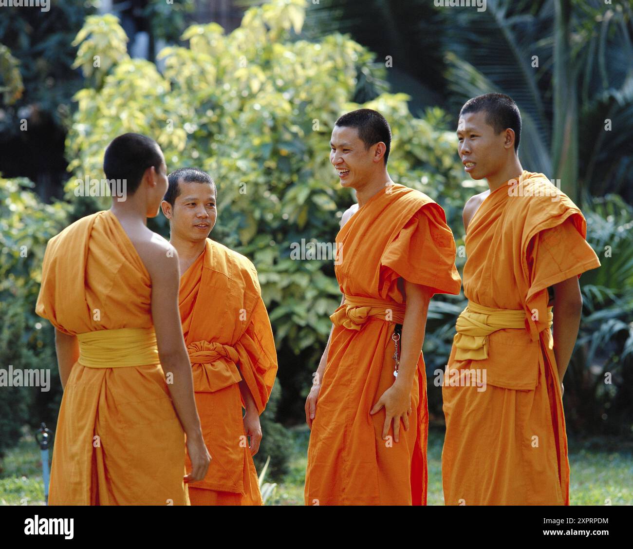Monks talking together in Thailand Stock Photo - Alamy