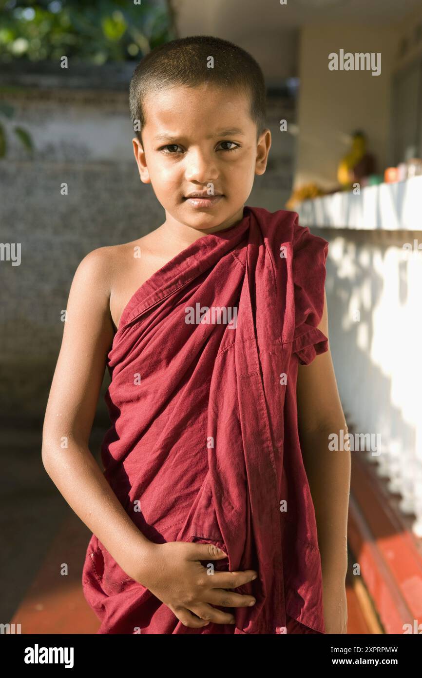 Young Buddhist Monks in Pathuwatha Temple, Sri Lanka Stock Photo - Alamy