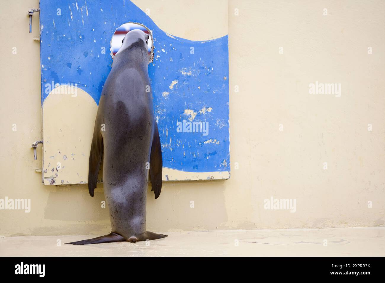 Captive observation hi-res stock photography and images - Alamy